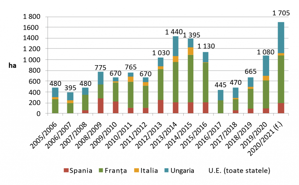 Anul acesta, suprafața cultivată cu semințe de sorg crește cu 58 %, în ...