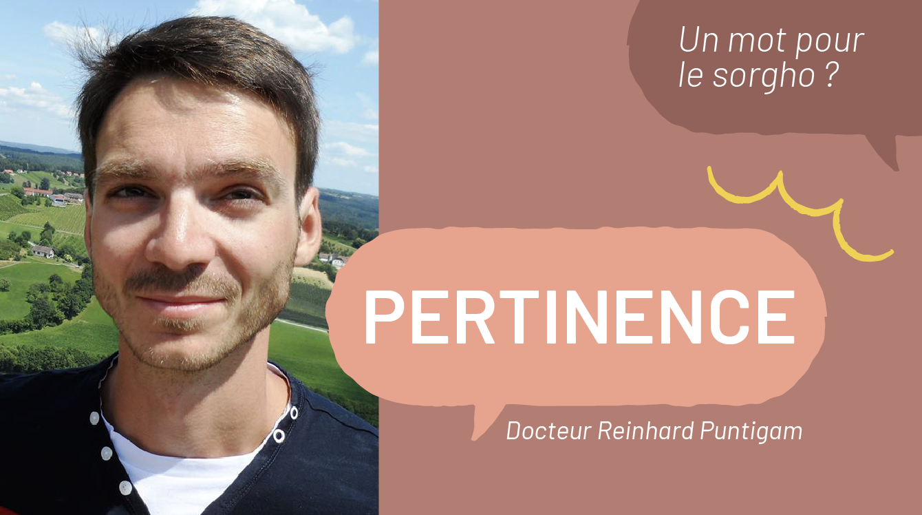 « Pertinence » - Sorghum ID