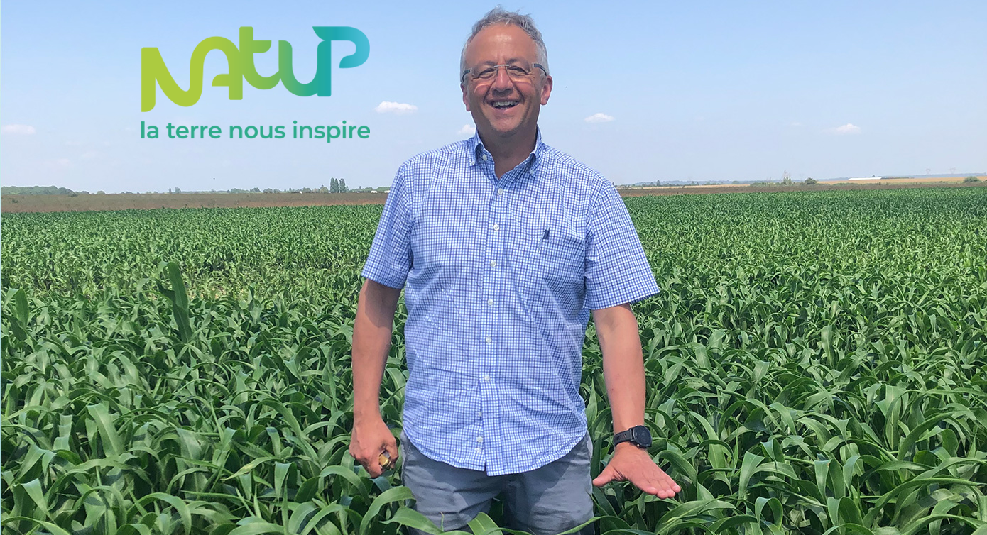 NatUp: Sorghum Plays Its Norman Card - Sorghum ID